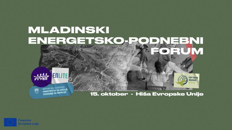 Mladinski energetsko-podnebni forum 2024 - FVO
